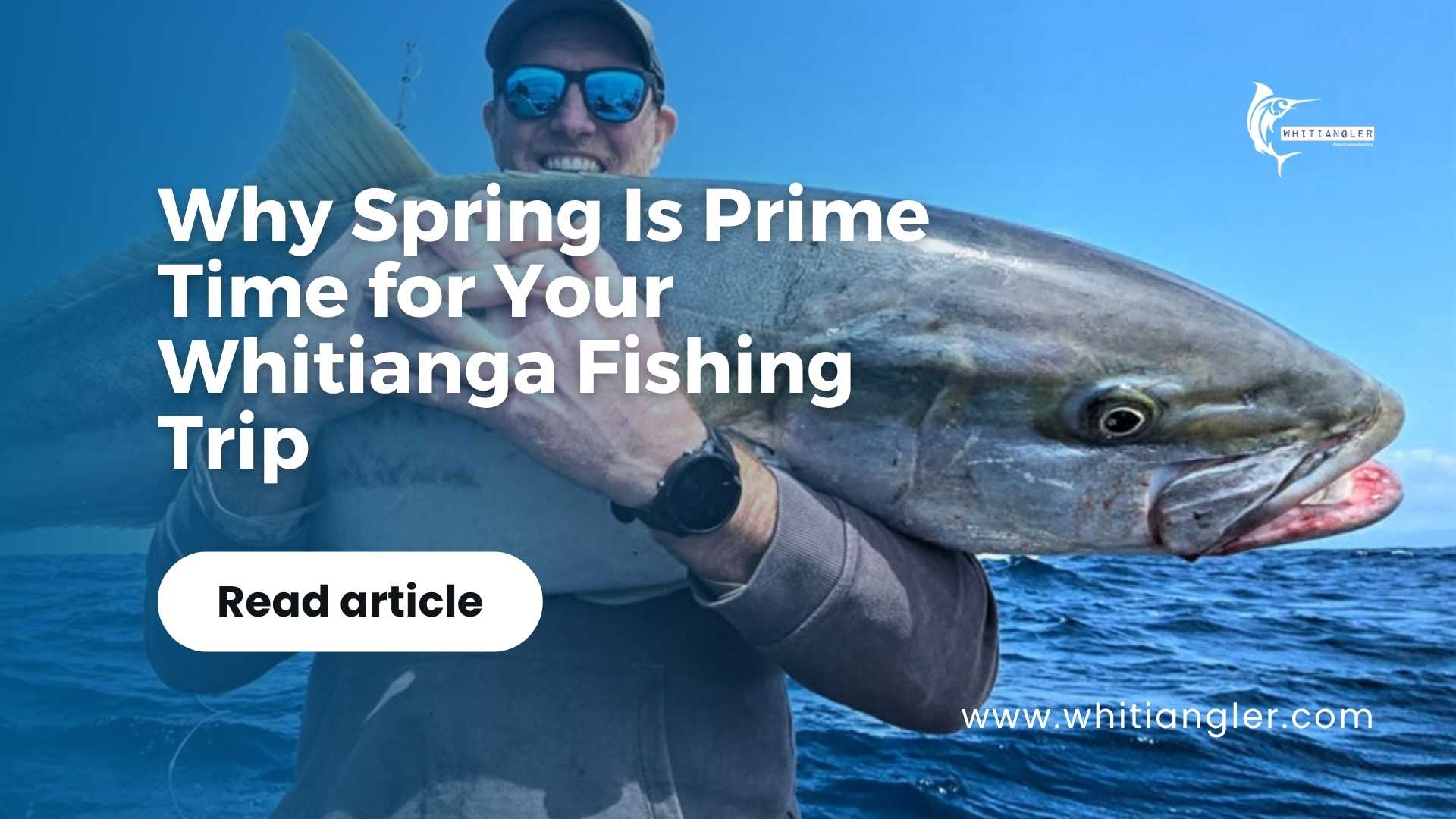 Why Spring Is Prime Time for Your Whitianga Fishing Trip - Whitiangler